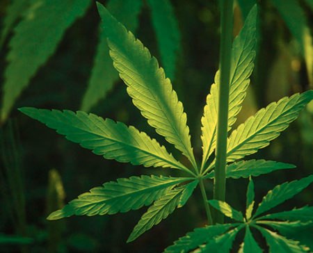 Kuekelhaus-Oeko-1 - Risch Gruppe